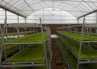 China Custom Shaped Glass Seedling Greenhouse / Nursery Bed Breeding / Movable Seedbed for sale