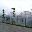 China Continuous-span PO film greenhouse for increasing vegetable yields for sale