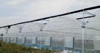 China Continuous-span PE film greenhouse, used to enhance and accelerate the ripening of vegetables for sale
