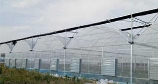 China Continuous-span PE film greenhouse, used to enhance and accelerate the ripening of vegetables for sale