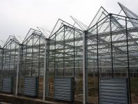 China Venluo Sightseeing Glass Greenhouse - Large-scale Vegetable Planting Greenhouse for sale