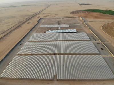 China Agricultural planting use, Wannuo sightseeing glass greenhouse for sale