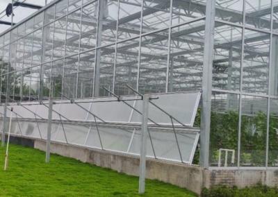China Wenlu Tourist Glass Greenhouse - Large-scale Fruit Planting Greenhouse for sale