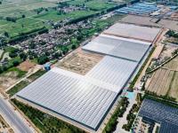 China Fruit cultivation greenhouse, large Woonloos sightseeing glass greenhouse for sale