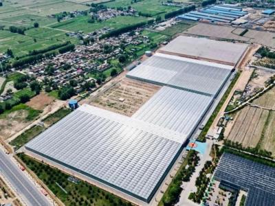 China Fruit cultivation greenhouse, large Woonloos sightseeing glass greenhouse for sale