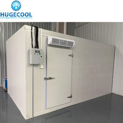China Precise Temperature Control Freezer Cold Room Energy Saving Design High Strength Panels for sale