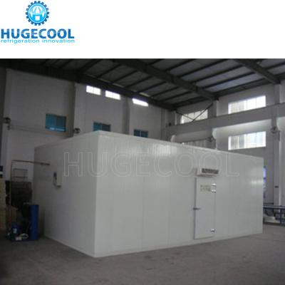 China Optimal Storage and Preservation Solution 50mm To 250mm Thickness Freezer Cellar Room with Swing/Sliding Door for sale