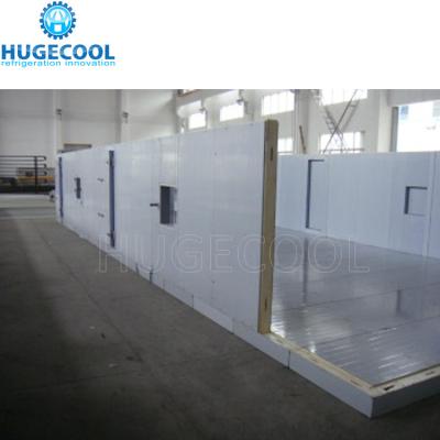 China Full Automatic System Chill Storage Cellar Cold Storage Room Freezer Room Industrial Refrigeration Solutions for Commercial for sale