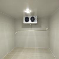 China Nature-Friendly Cold Storage Room for Vegetable and Fruit Production PU100426 for sale