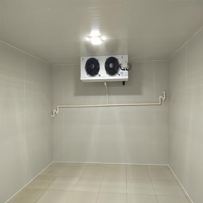 China Nature-Friendly Cold Storage Room for Vegetable and Fruit Production PU100426 for sale