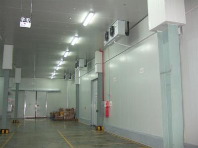 China Temperature -10-0C Cold Storage Room with PU Panel and Freon Refrigerant for sale