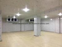 China Deep Blast Freezer Cold Room Customization for Your Specific Requirements for sale
