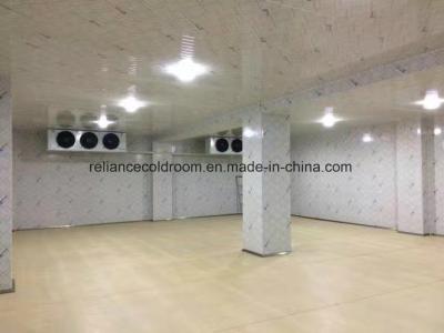 China Deep Blast Freezer Cold Room Customization for Your Specific Requirements for sale