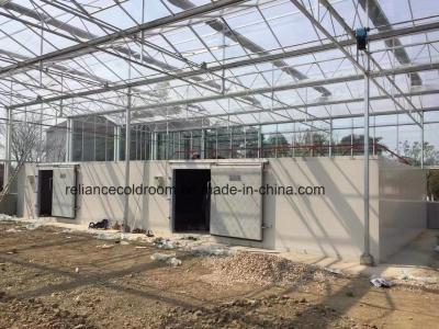 China ISO Certified Agriculture Cold Storage Room PU1009810 for Optimal Temperature Control for sale