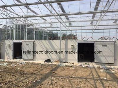 China 150mm Thickness Farm Cold Room for Agricultural Temperature Control for sale