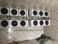 China Customized Fast Cooling Chiller and Freezer Room for All Life After-sales Service for sale