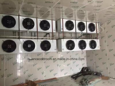 China Customized Fast Cooling Chiller and Freezer Room for All Life After-sales Service for sale