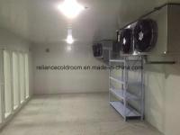 China Reliance Walk in Freezer Room -20c to -30c with Direct Cooling Technology for sale