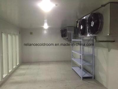 China Reliance Walk in Freezer Room -20c to -30c with Direct Cooling Technology for sale