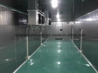 China Stainless Steel Panel Fresh Keeping and Frozen Cold Room with All Thickness Options for sale