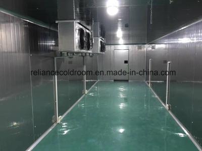 China Stainless Steel Panel Fresh Keeping and Frozen Cold Room with All Thickness Options for sale
