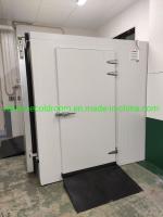 China 30/20/10 Cubic Meters Direct Cooling Cold Storage Room for Fish Meat Vegetables Fruit for sale