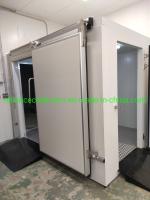 China Temperature Controlled Cold Storage Room for Frozen Fish Meat and Chicken Food Grade for sale