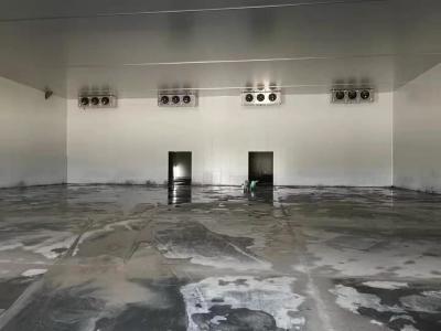 China Freon Refrigerant Cold Storage Room for Distribution of Vegetables Fruits Fishes Meat 10 for sale
