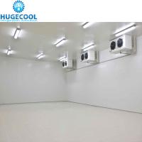 China Medium 10 Cold Storage Room for Meat Chicken Fishes Vegetables Fruits Suitable for sale