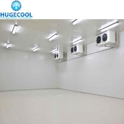 China Medium 10 Cold Storage Room for Meat Chicken Fishes Vegetables Fruits Suitable for sale