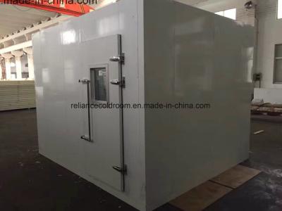 China Nature Distribution Freezer Room for Food Storage for sale
