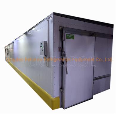 China Structure Assembled Refrigeration Unit Cold Storage Room for Vegetable and Fruit for sale