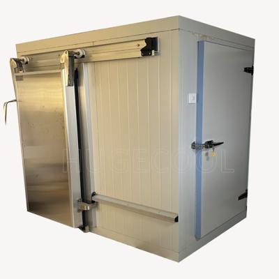China 5HP Condensing Unit Cold Storage Room for Fish with Customized Request and Evaporator for sale