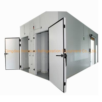 China Tomato Cold Room Storage Line with Air Cooling Compressor and Customization PU Panels for sale