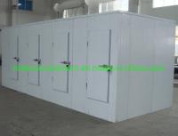China Home Using Container Cold Storage with Cheese Cold Room and Air Cooler Blast Freezer for sale