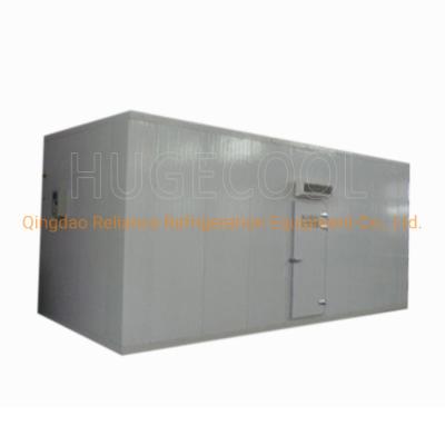 China Structure Assembled Cold Storage Room for Sea Food Ice Cream and Dumplings Air Cooling for sale