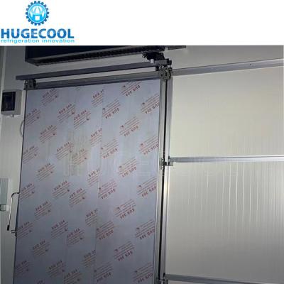 China 0.6mm Galvanized Steel Thermal Insulated PU Panel Manual Sliding Door for Cold Room for sale