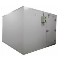 China 3*3*3m Frozen Meat Cold Room with Hinged Door 220V/380V/440V Voltage and 150mm Panel for sale