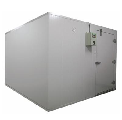 China 3*3*3m Frozen Meat Cold Room with Hinged Door 220V/380V/440V Voltage and 150mm Panel for sale