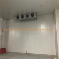 China Air Cooling PU/PIR Sandwich Panel for Cold Room/Cold Storage/Freezer Room Customization for sale