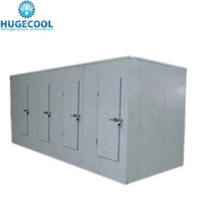 China Sliding Swing Door Deep Blast Freezer Room for Commercial Cold Storage in Production for sale