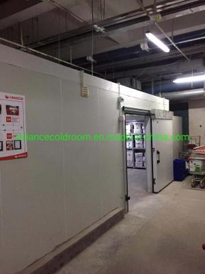 China Blood-Red Deep Freezer for Fish and Pork in Cold Storage Industrial PU/XPS Panels for sale