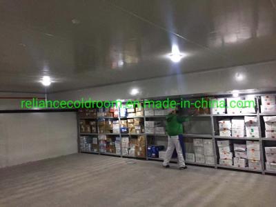 China COLDROOM19 Walk in Freezer Chiller Room Cold Storage with Compressor Condensing Unit for sale