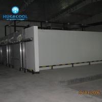 China Customization Customized Cold Room Chiller/Cooler/Freezer Room with Sandwich PU Panel for sale