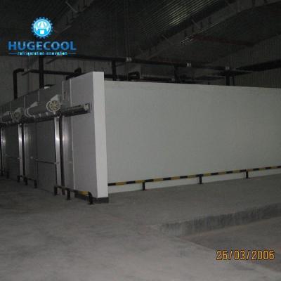 China Customization Customized Cold Room Chiller/Cooler/Freezer Room with Sandwich PU Panel for sale