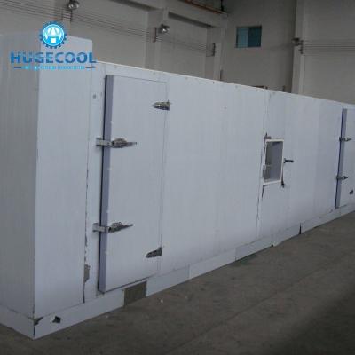 China Assembled COLDROOM21 Customized Size Cold Storage Freezer/Chiller Room with Condensing Unit for sale