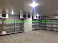 China Small Walk in Freezer/Chiller for Vegetables Fruits Refrigerant Freon Cold Storage Room for sale