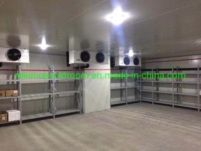 China Small Walk in Freezer/Chiller for Vegetables Fruits Refrigerant Freon Cold Storage Room for sale