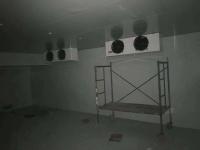 China Container Cold Room Cold Storage for Frozen Food Meat State-of-the-Art Technology for sale