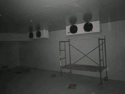 China Container Cold Room Cold Storage for Frozen Food Meat State-of-the-Art Technology for sale